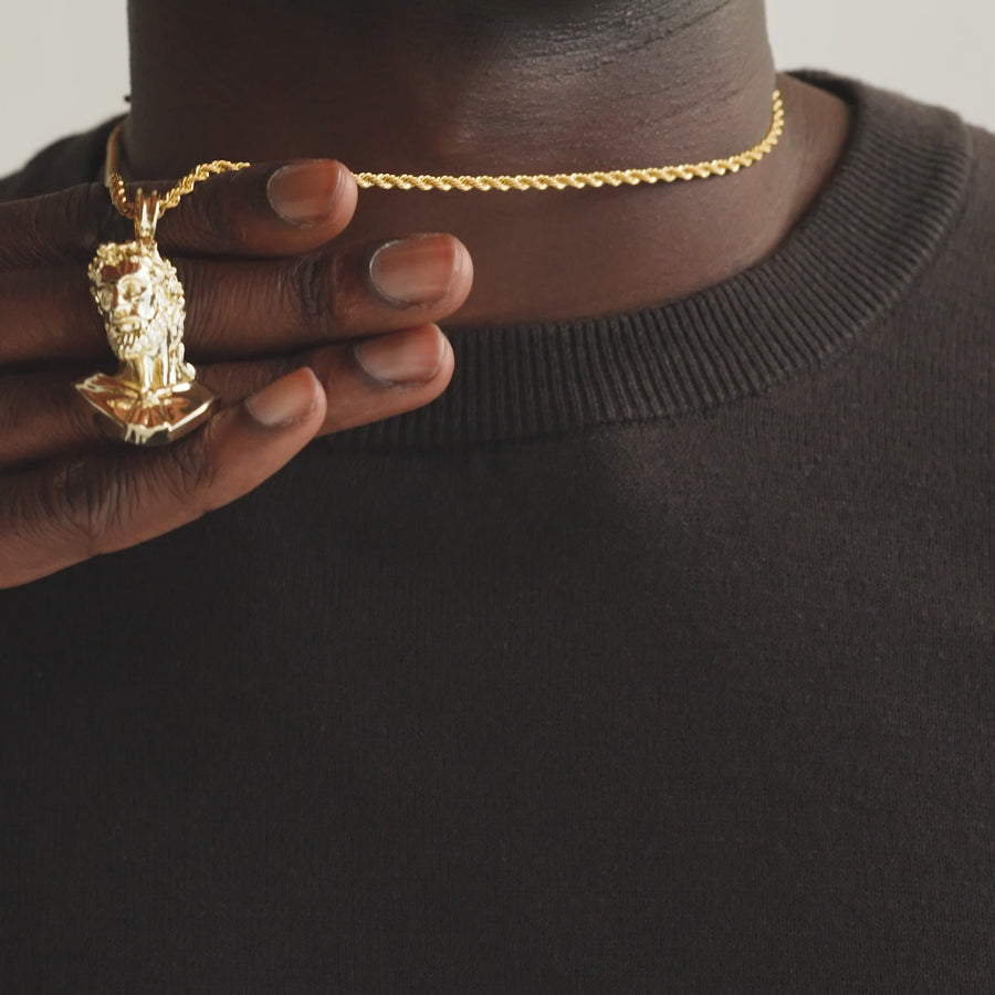 Zeus Necklace Pendant & Rope Chain | The Gold Gods